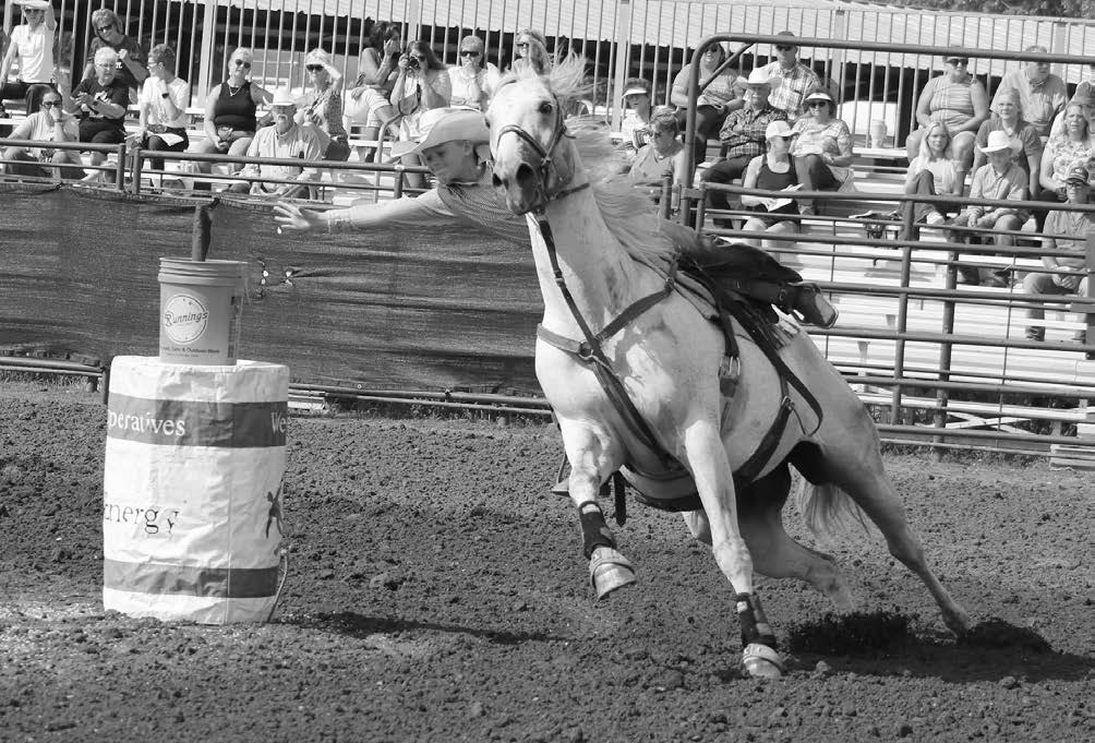 Rodeo Roundup | Timber Lake Topic