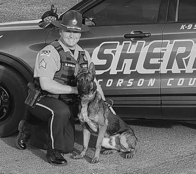 Corson County Sheriff’s Office K9 Zigi receives donated body armor ...