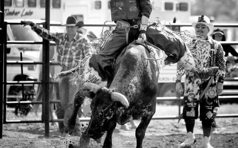 Local talent among winners at Dewey Co. 4-H Rodeo | Timber Lake Topic